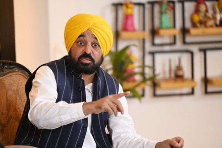CM Bhagwant Singh Mann Hands Over Appointment Letters to 665 Youth ...