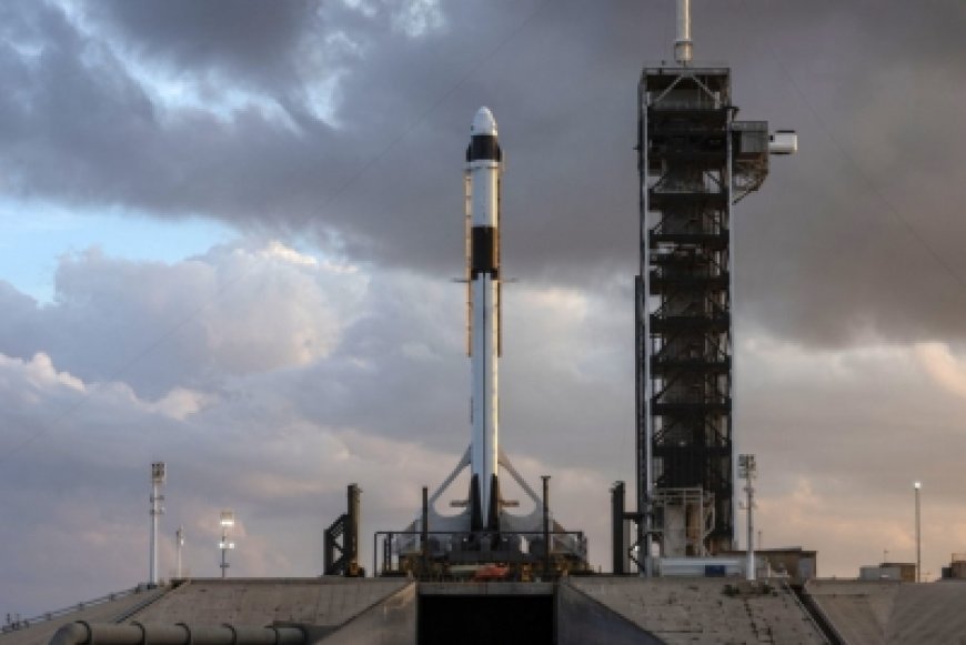 SpaceX settles 19 pc higher on debut day with market cap at record $2.2 ...